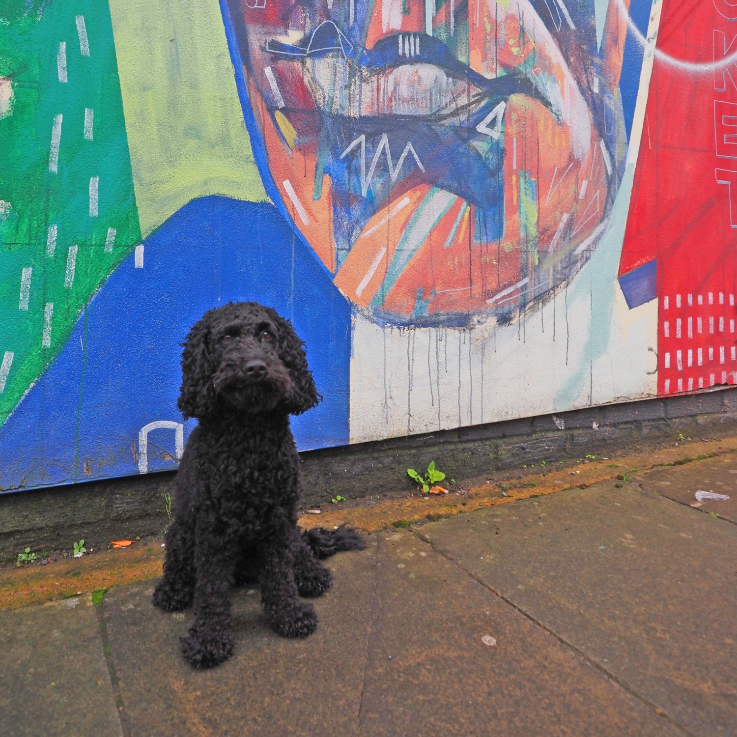 Meet the Team - Ethical Planning