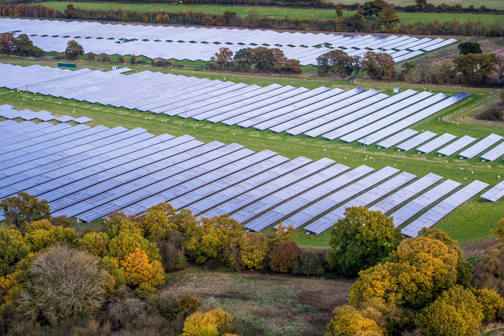 Unlocking the Potential of Rural Diversification