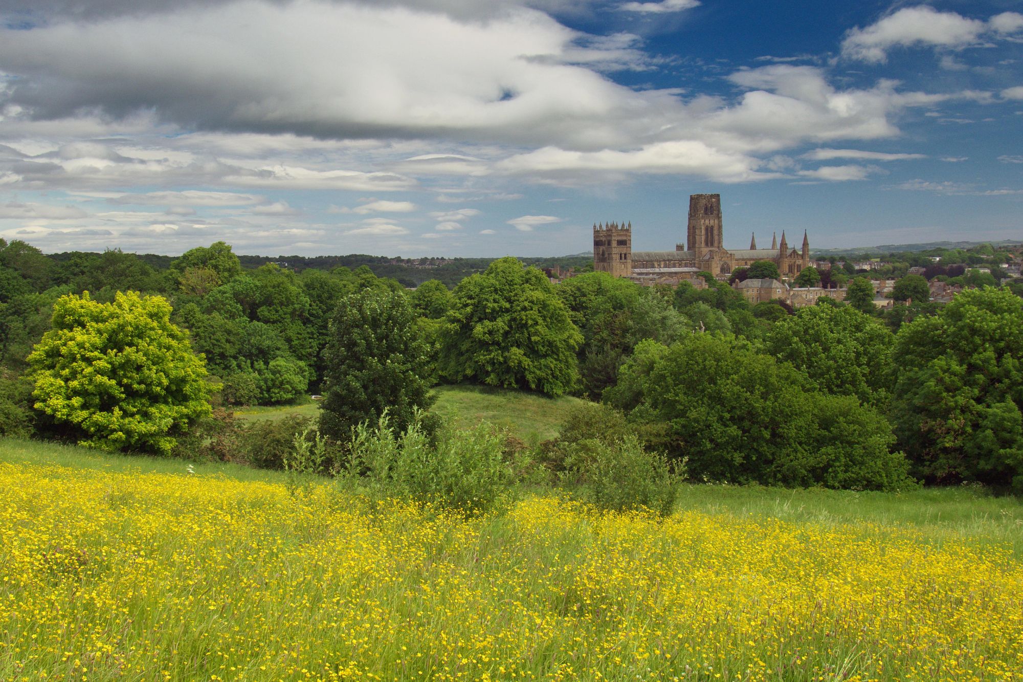 Is Your Land an Opportunity for the Future of County Durham? - Ethical ...